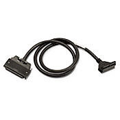 ZL-D24-CBL40-1 > ZIPLINK > ZIPLINK PLC I/O CABLE, 40-PIN CONNECTOR ...